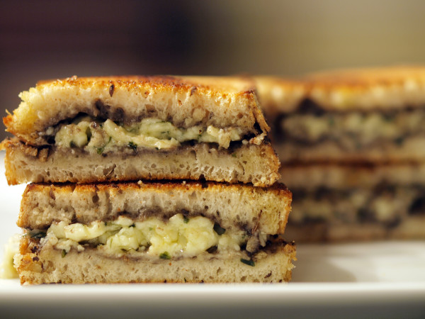 Tintern Cheddar & Mushroom Mayo Grilled Cheese – grilledshane.com